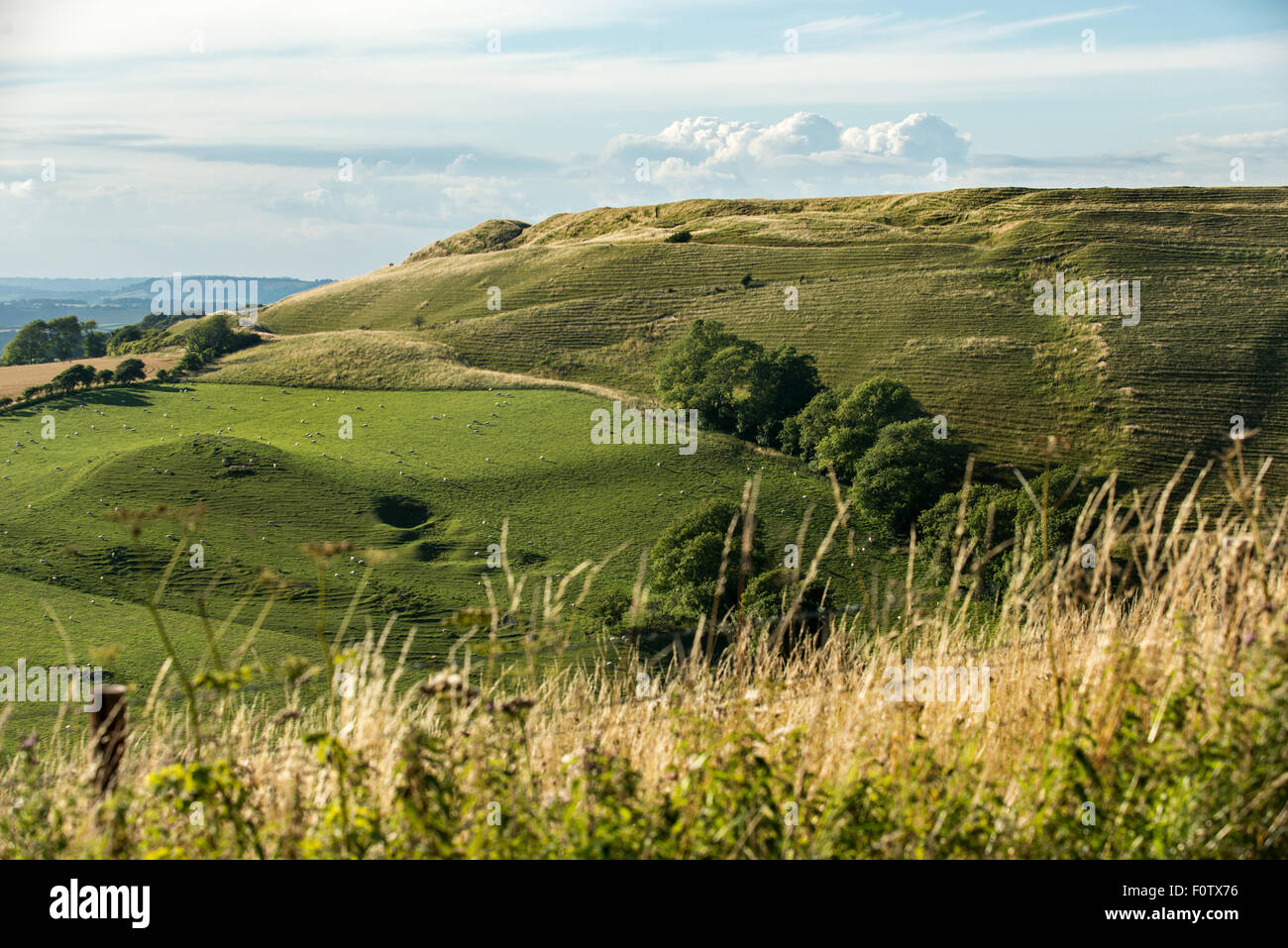 A view of Eggardon Hill Fort, Dorset. Eggerdon is an Iron Age Hill fort ...
