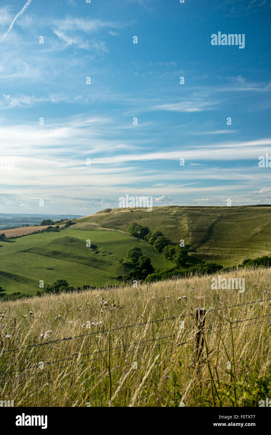 A view of Eggardon Hill Fort, Dorset. Eggerdon is an Iron Age Hill fort ...