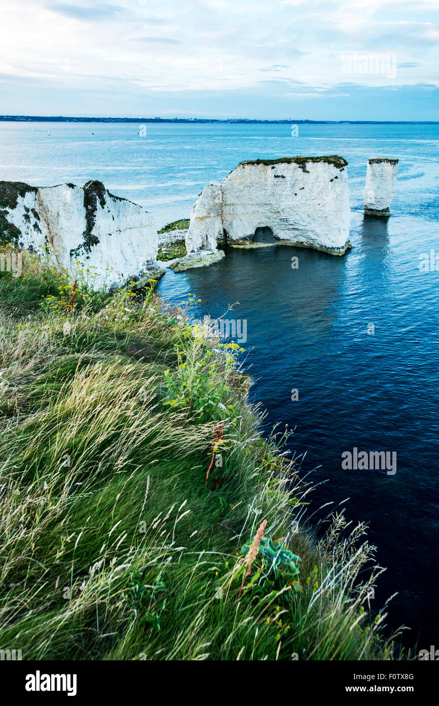 The Old Harry Rocks Dorset, England Stock Photo - Alamy