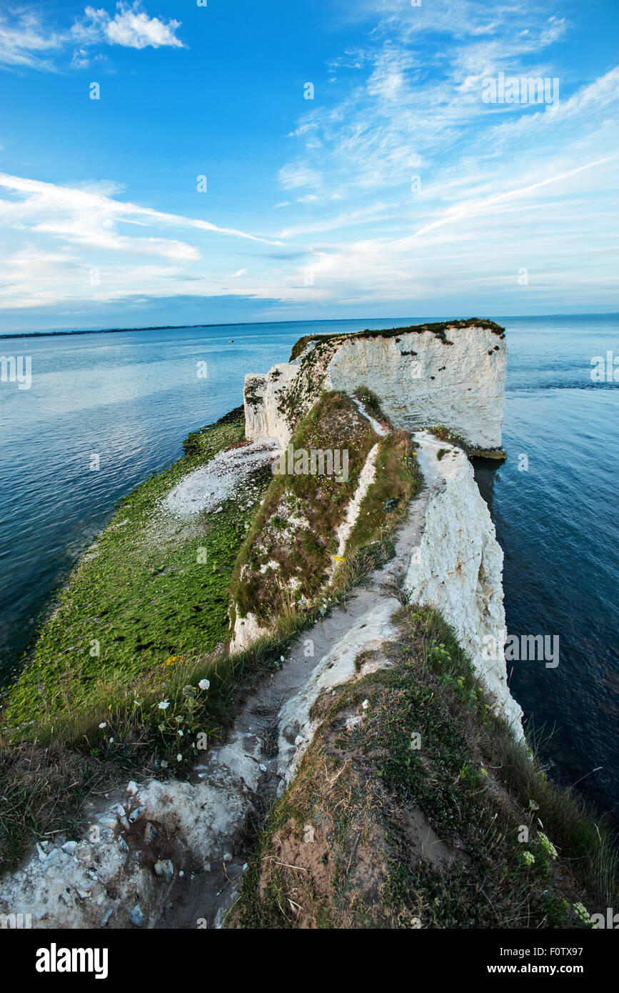 The Old Harry Rocks Dorset, England Stock Photo - Alamy