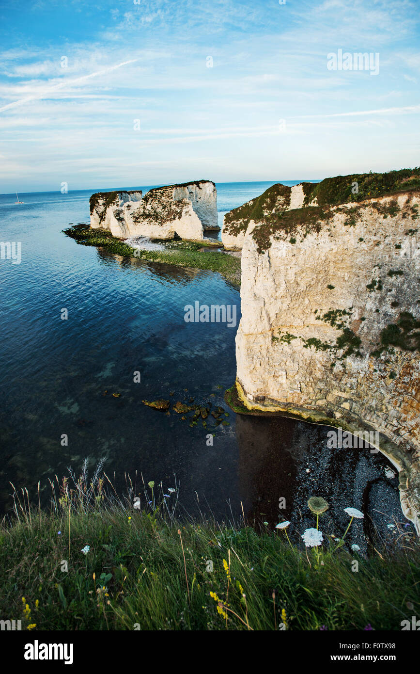 The Old Harry Rocks Dorset, England Stock Photo - Alamy