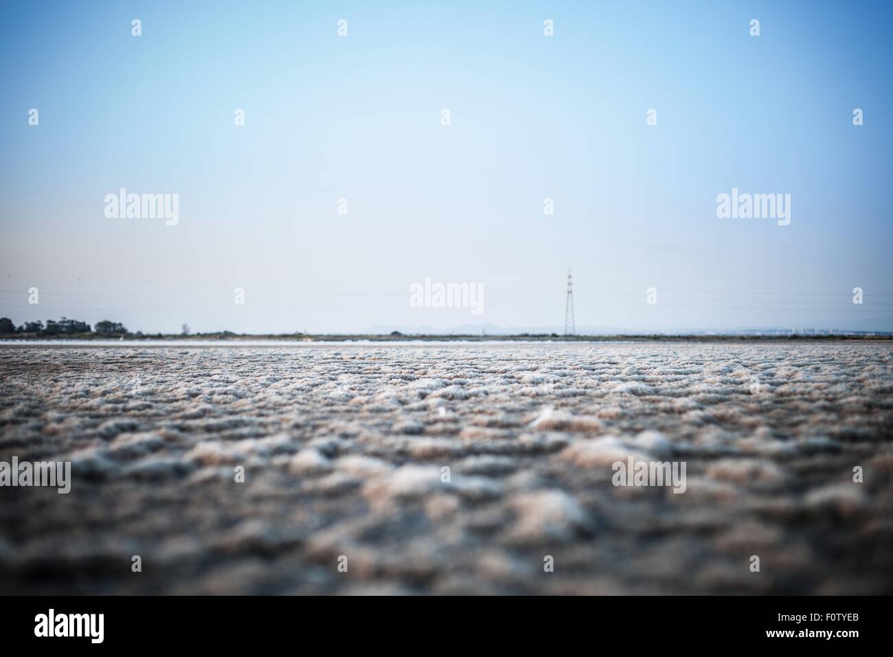 Surface level view hi-res stock photography and images - Alamy