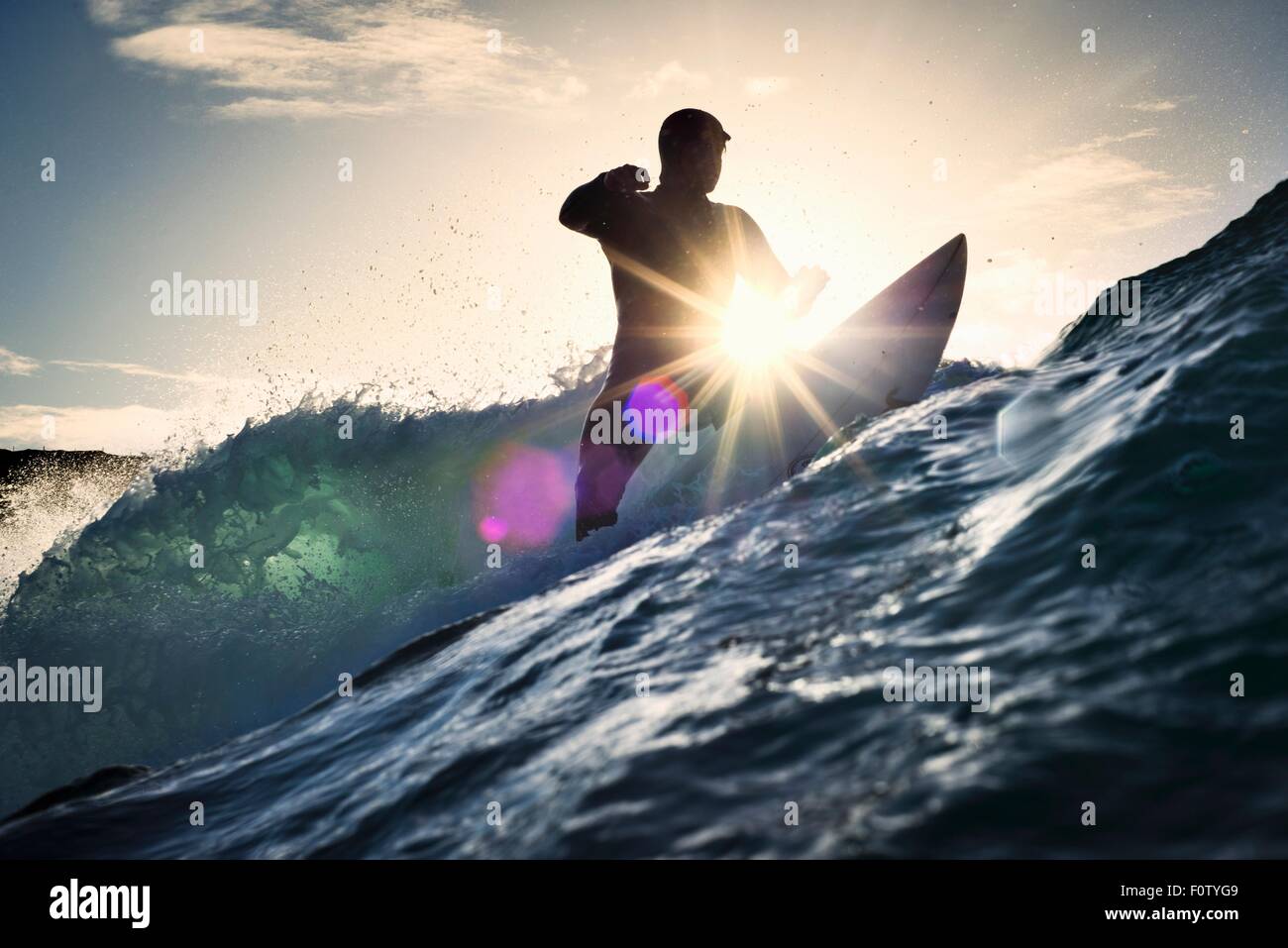 Male surfer at sunset Stock Photo - Alamy