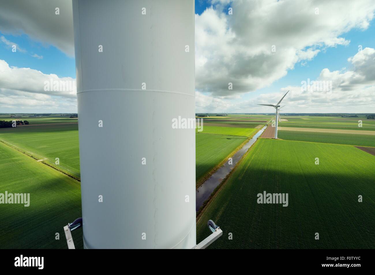 Modern wind farm in the newly created land in the Flevopolder Stock ...