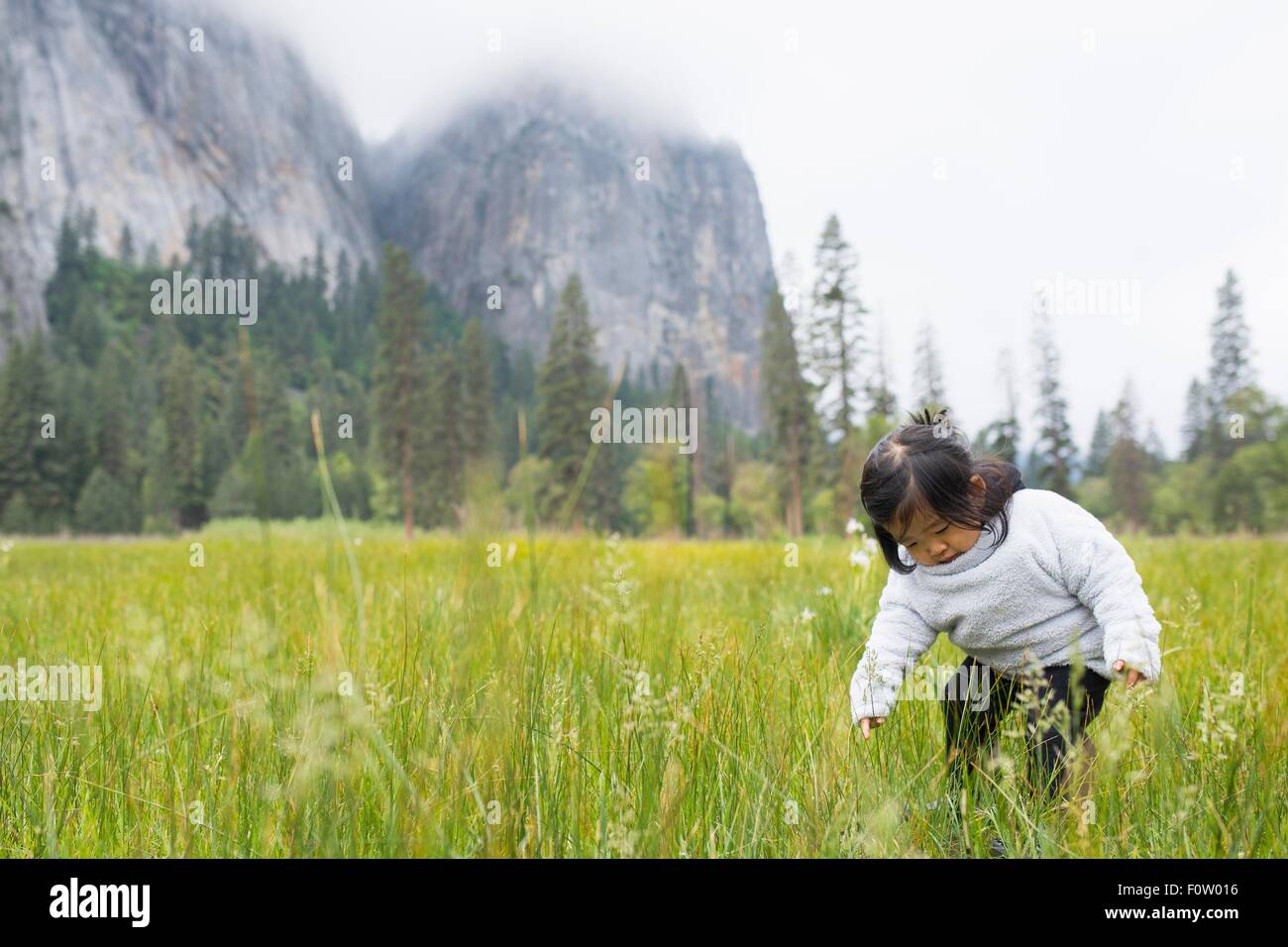 Female toddler crouching in meadow, Yosemite National Park, California ...