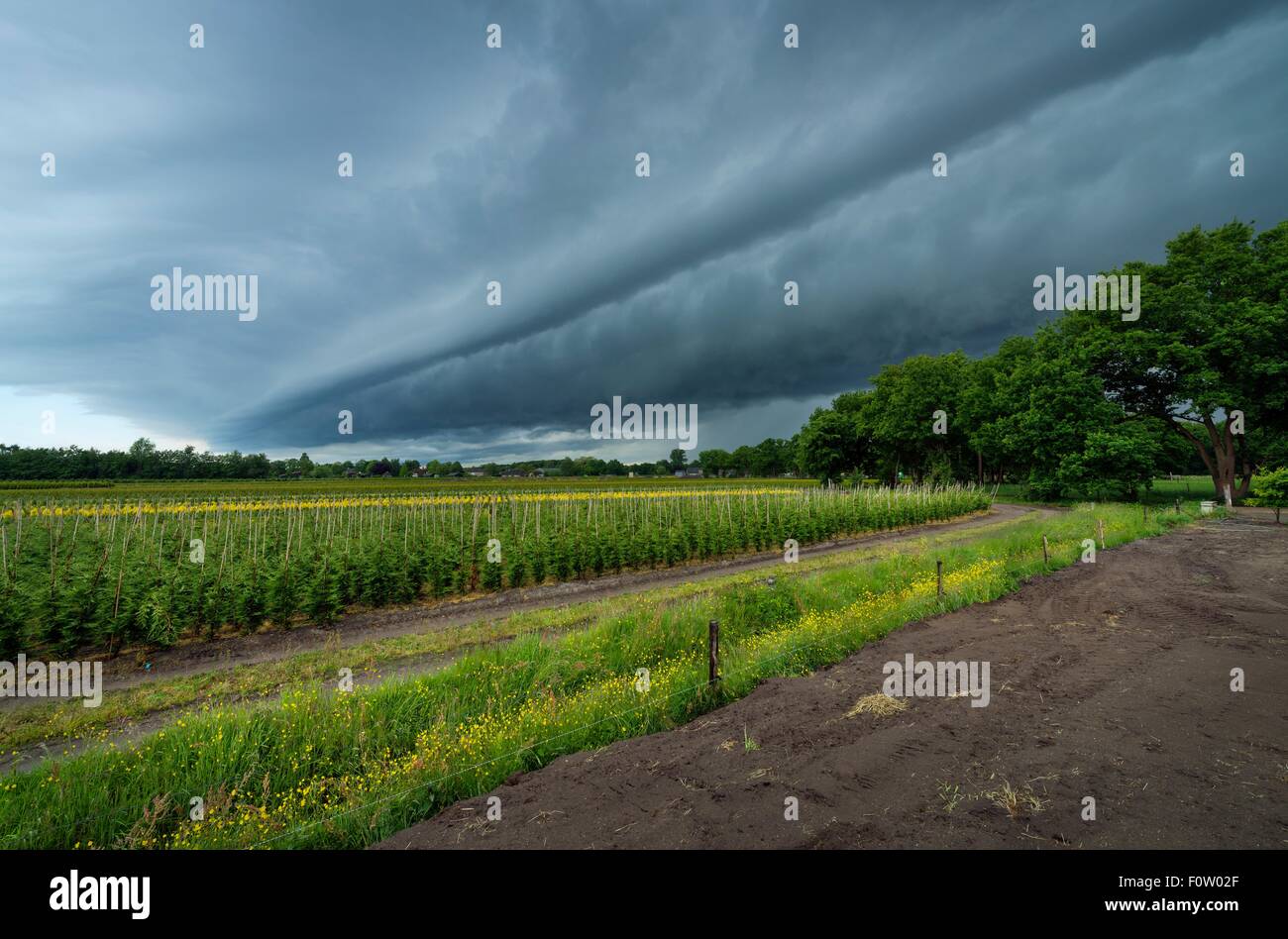 Overhead storm hi-res stock photography and images - Alamy