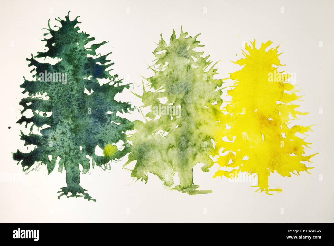 Conifere decorative hi-res stock photography and images - Alamy