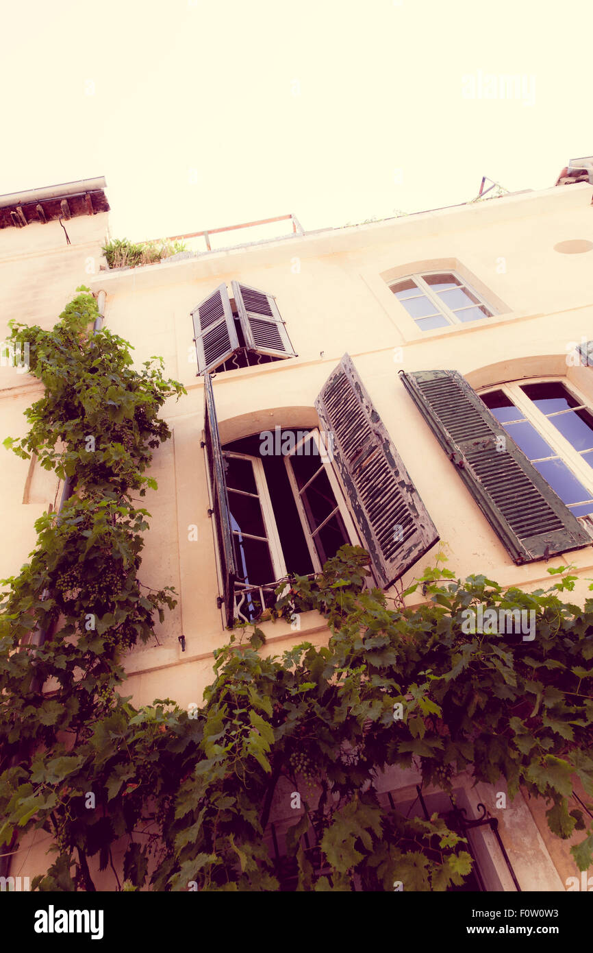 Plant on outside of building with shuttered windows Stock Photo - Alamy