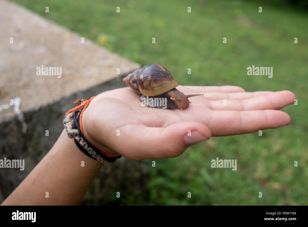Girl snail hi-res stock photography and images - Alamy