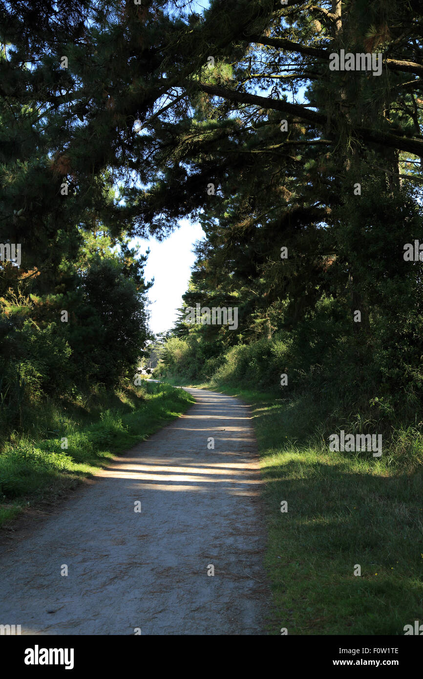 Footpath through woods on Presqu'ile de la villeneuve, Sene, Vannes ...