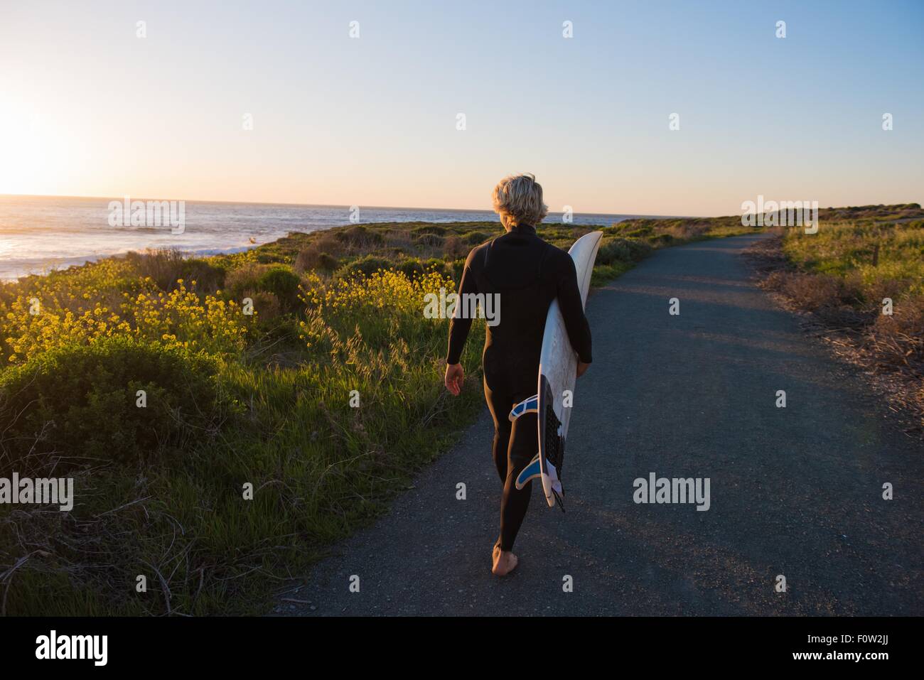 Young male surfer at sunrise carrying surfboard on rural road at coast ...
