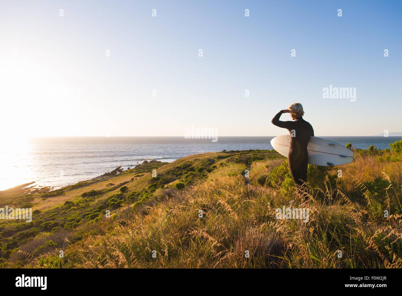 Rear view of young male surfer looking out to sea from clifftop Stock ...