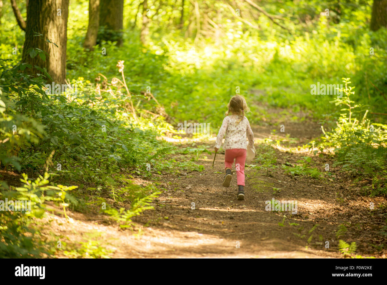 Little girl in the woods exploring Stock Photo - Alamy