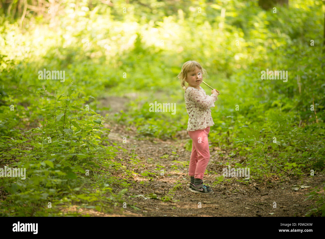 Little girl in the woods exploring Stock Photo - Alamy