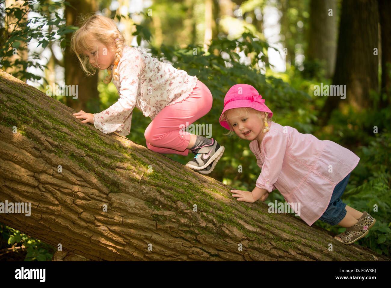 Children climbing tree Stock Photo - Alamy