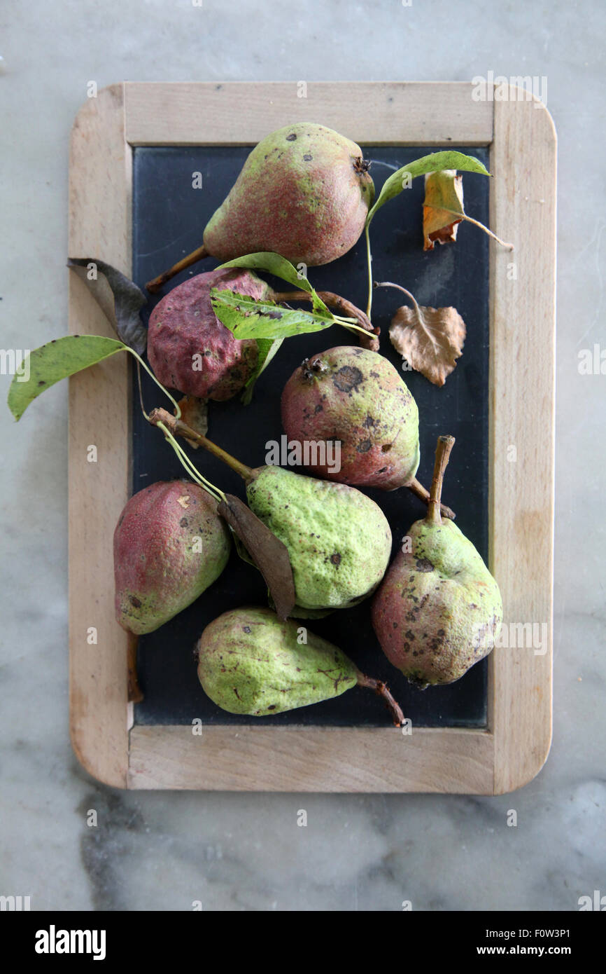 old pears still life Stock Photo - Alamy