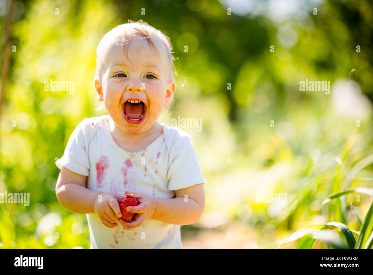 Cute joyous child with strawberry - outdoor in backyard garden on sunny ...