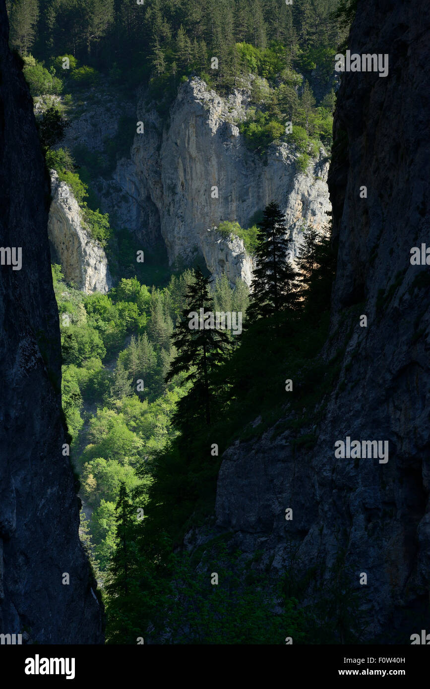 Trigrad Gorge, Western Rhodope Mountains, Bulgaria, May 2013 Stock ...