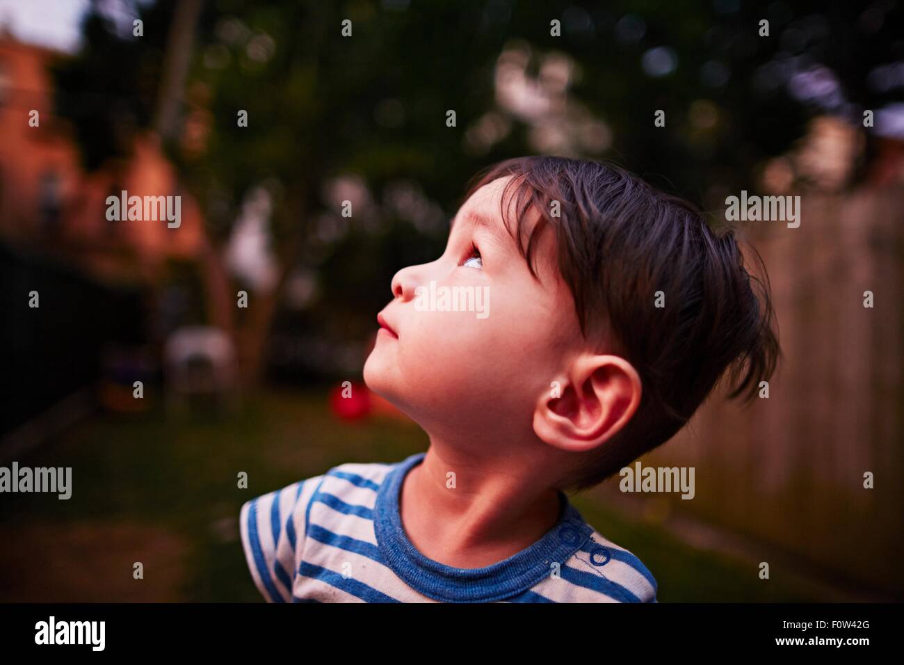 Boy looking up into sky Stock Photo - Alamy