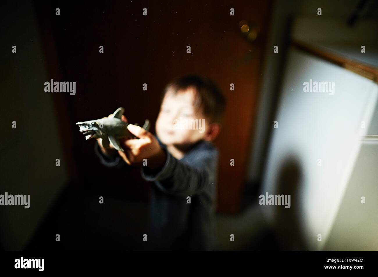 Shark boy hi-res stock photography and images - Alamy