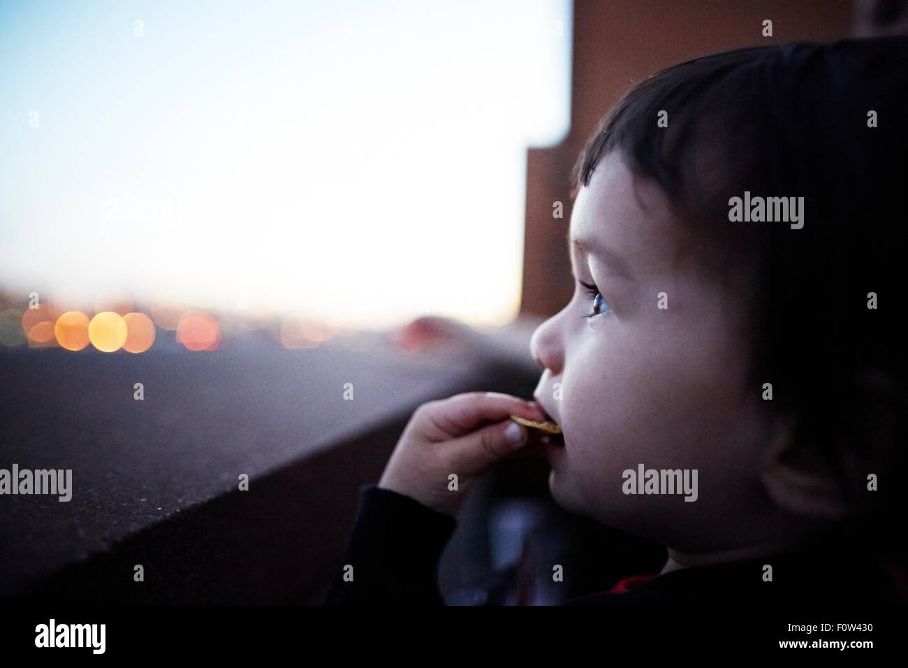 Boy eating biscuit by window Stock Photo - Alamy