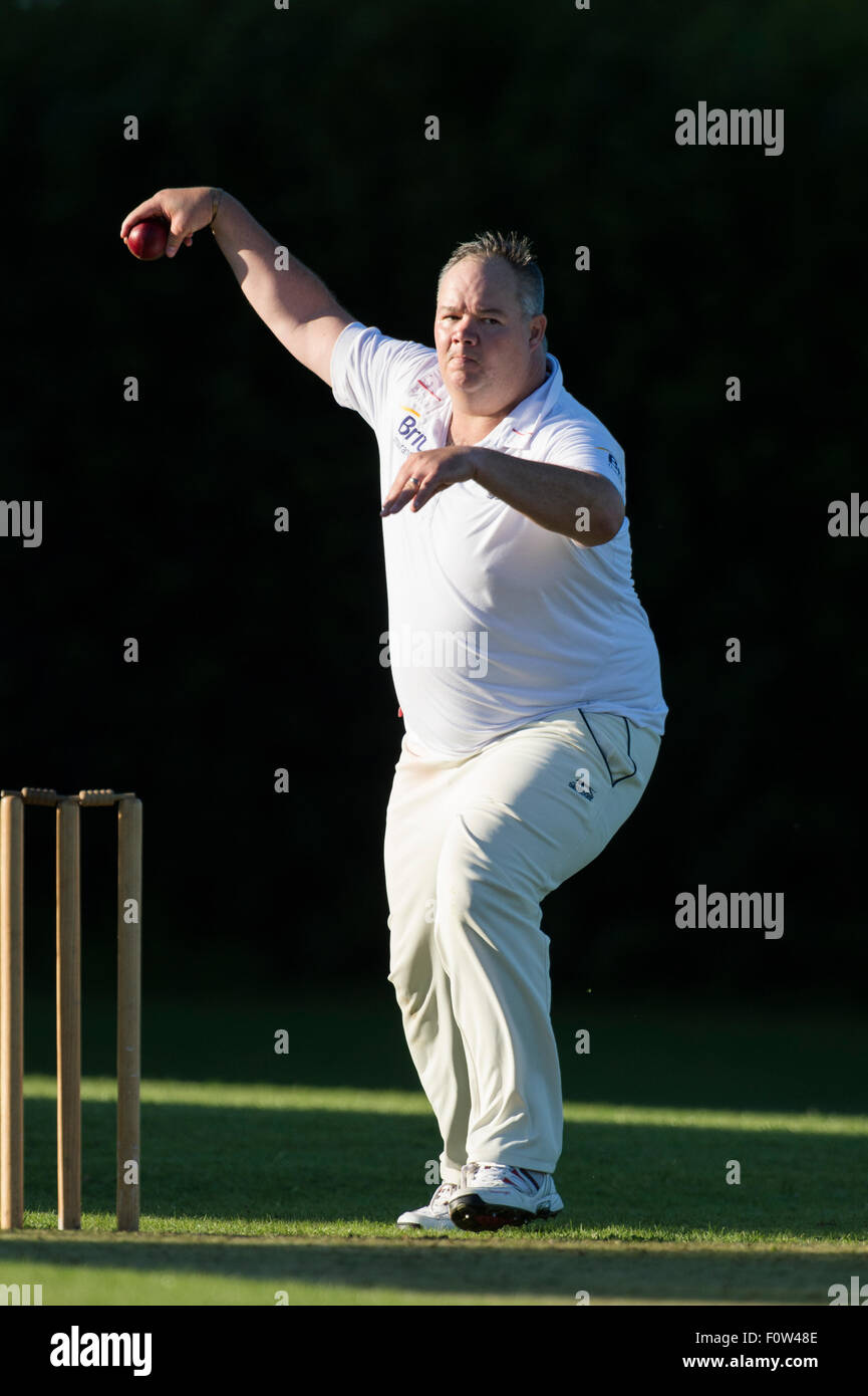 Cricket, bowler in action Stock Photo - Alamy
