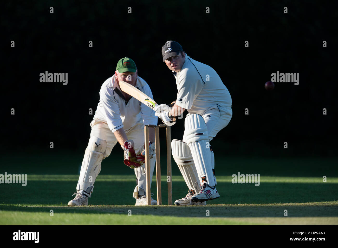 Cricket face guard hi-res stock photography and images - Alamy