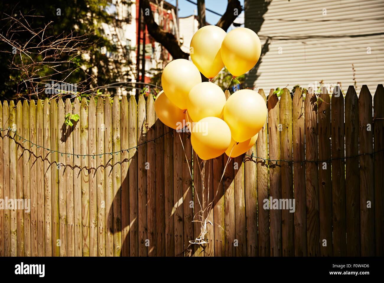 Balloons by wooden fence Stock Photo - Alamy