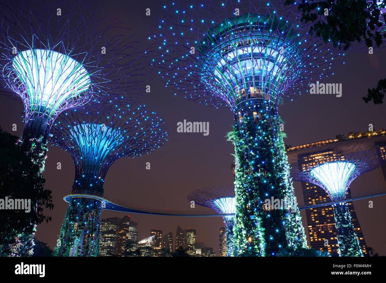Night view gardens bay singapore hi-res stock photography and images ...