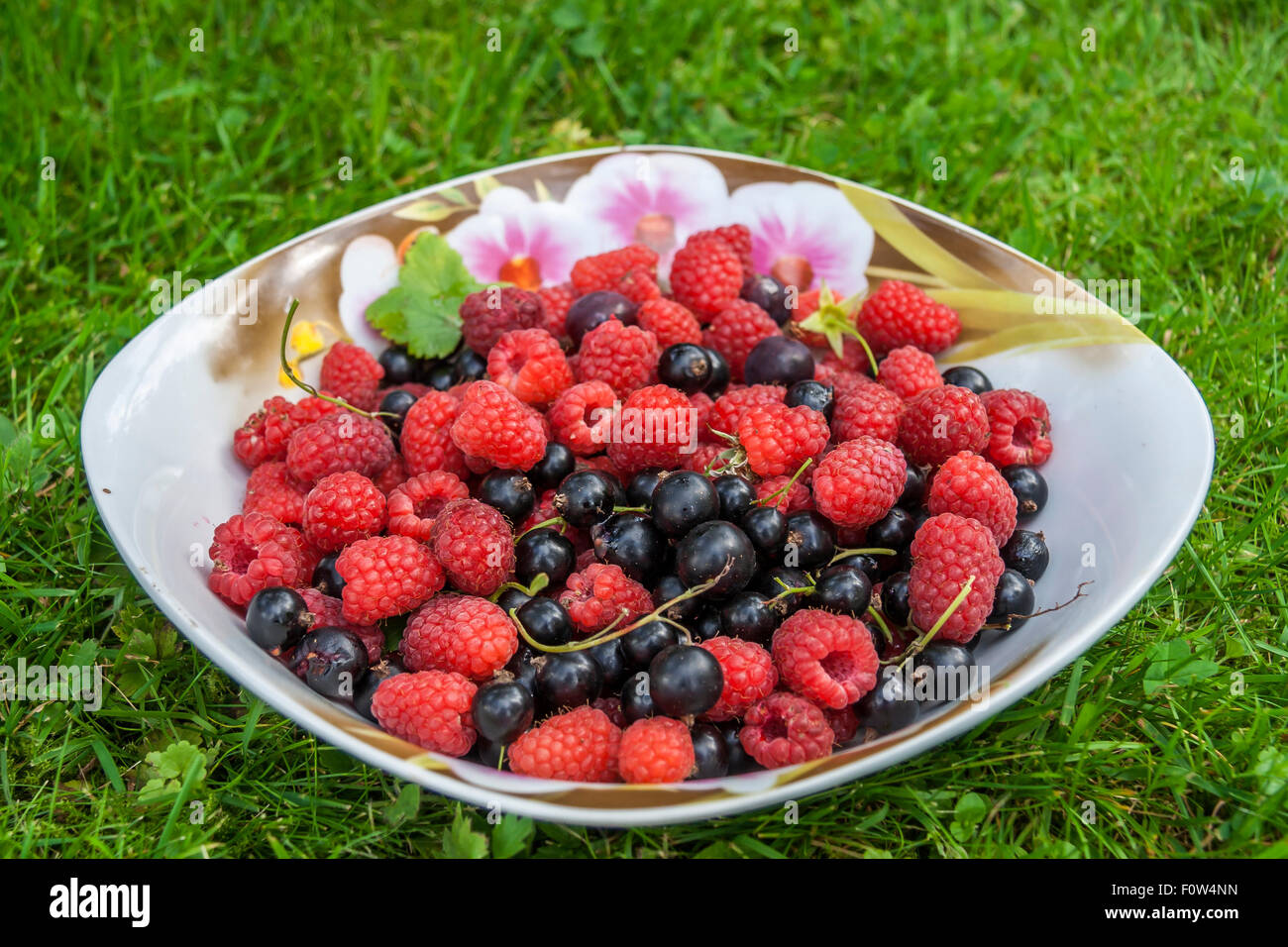 Ripe Raspberry & Black Currant Stock Photo - Alamy