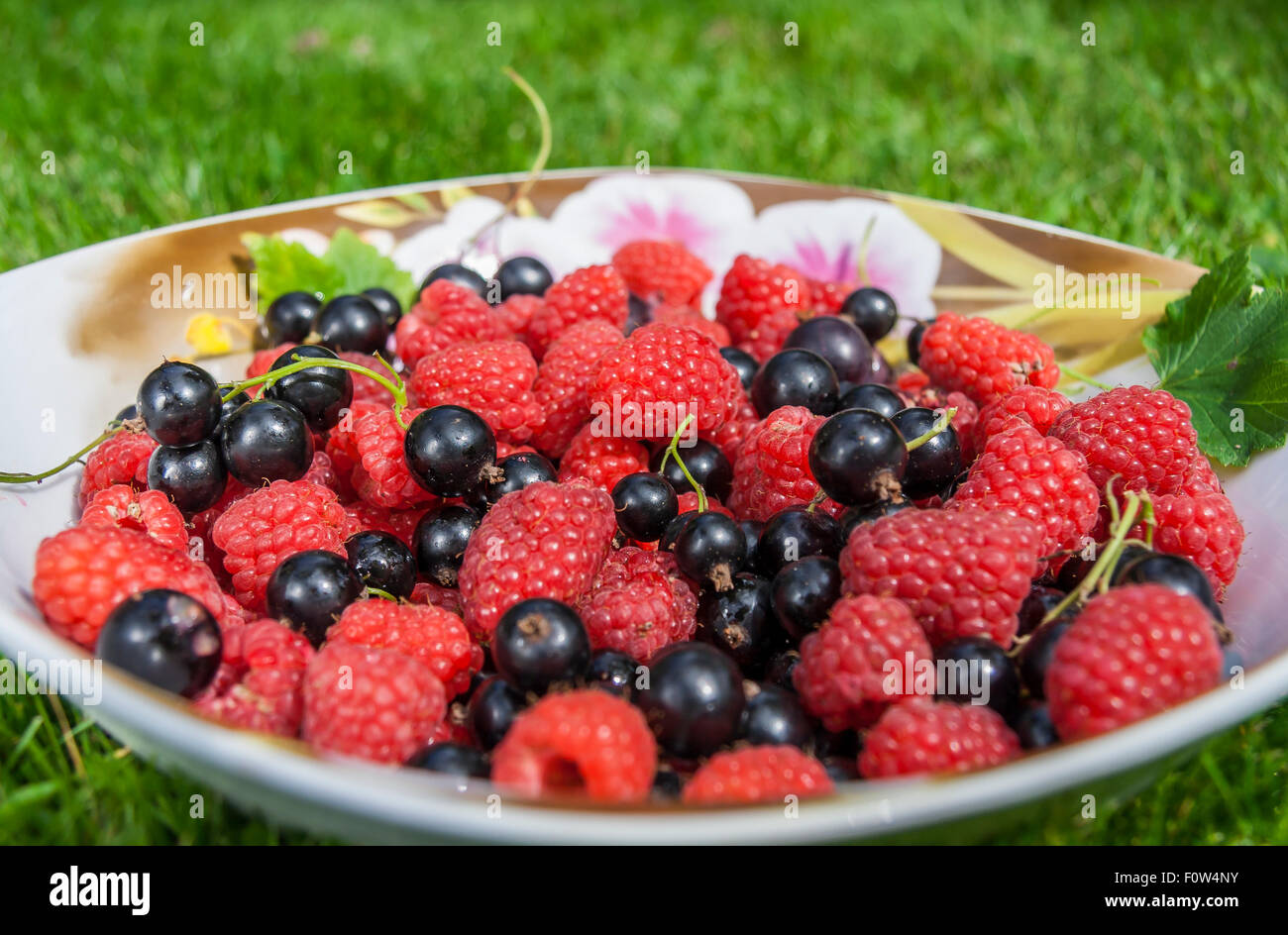 Raspberries & Black Currant Mix On Saucer Stock Photo - Alamy