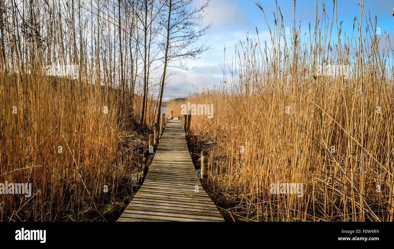 narrow dock in Rymättylä,Finland Stock Photo - Alamy