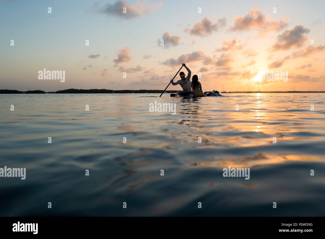 Silhouetted view of three adult friends on paddleboard at sunset ...