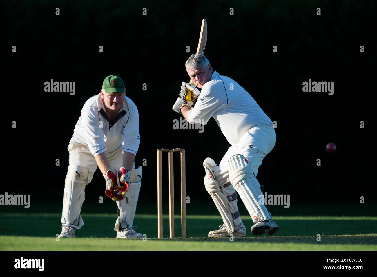 Cricket batsman black hi-res stock photography and images - Alamy