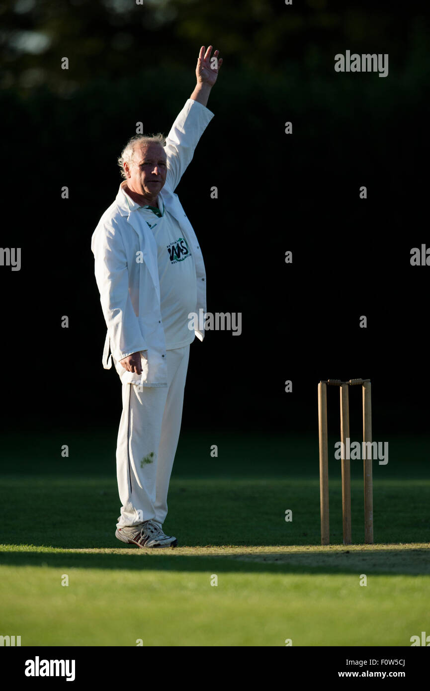 Cricket umpire stumps hi-res stock photography and images - Alamy