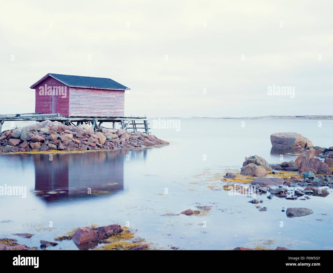Newfoun hi-res stock photography and images - Alamy