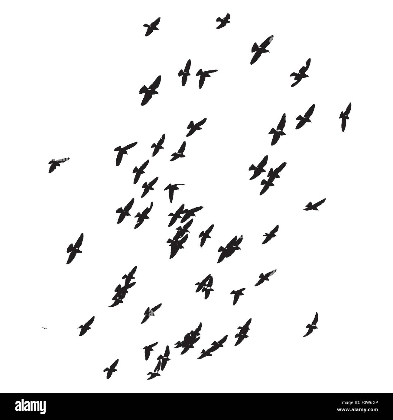 Bird overlay hi-res stock photography and images - Alamy