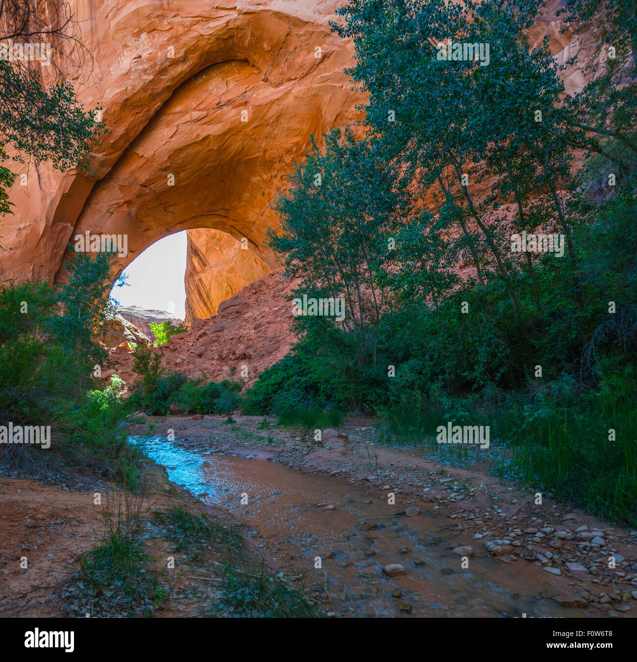 Natural Creek leading to Jacob Hamblin Arch Coyote Gulch Vertical Composition Stock Photo - Alamy