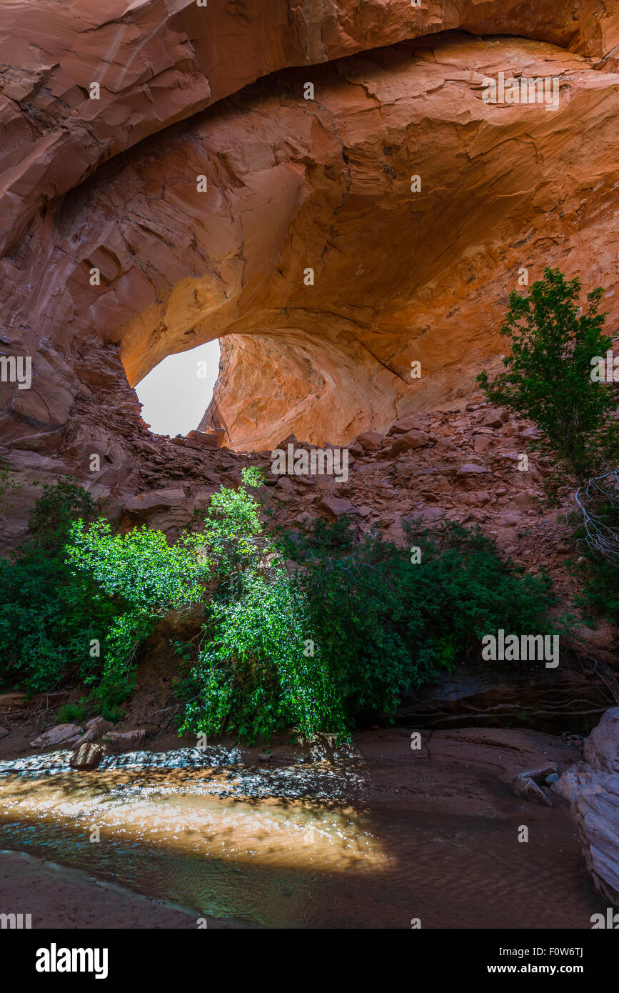 Natural Creek leading to Jacob Hamblin Arch Coyote Gulch Vertical Composition Stock Photo - Alamy