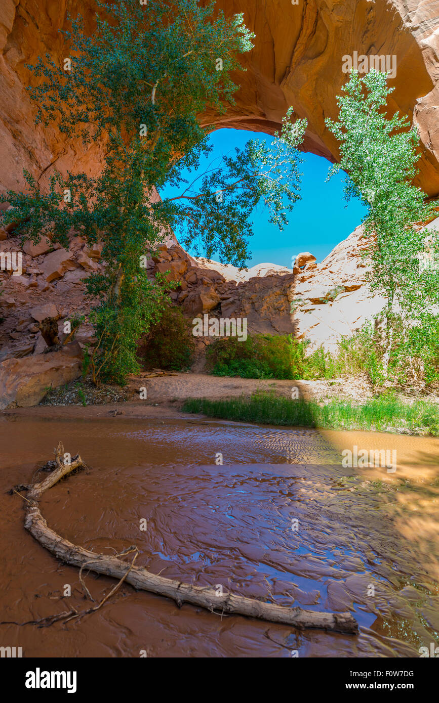 Beautiful Jacob Hamblin Arch in Coyote Gulch Grand Staircase Escalante ...