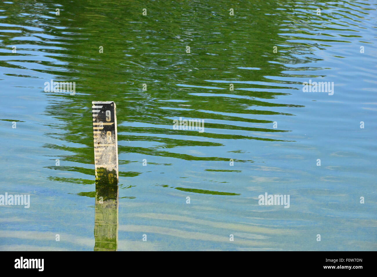 Measuring stick hi-res stock photography and images - Alamy