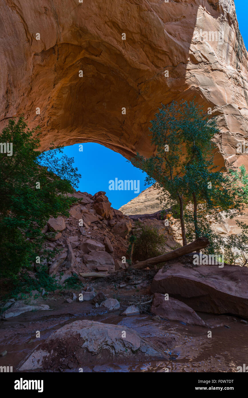 Beautiful Jacob Hamblin Arch in Coyote Gulch Grand Staircase Escalante ...