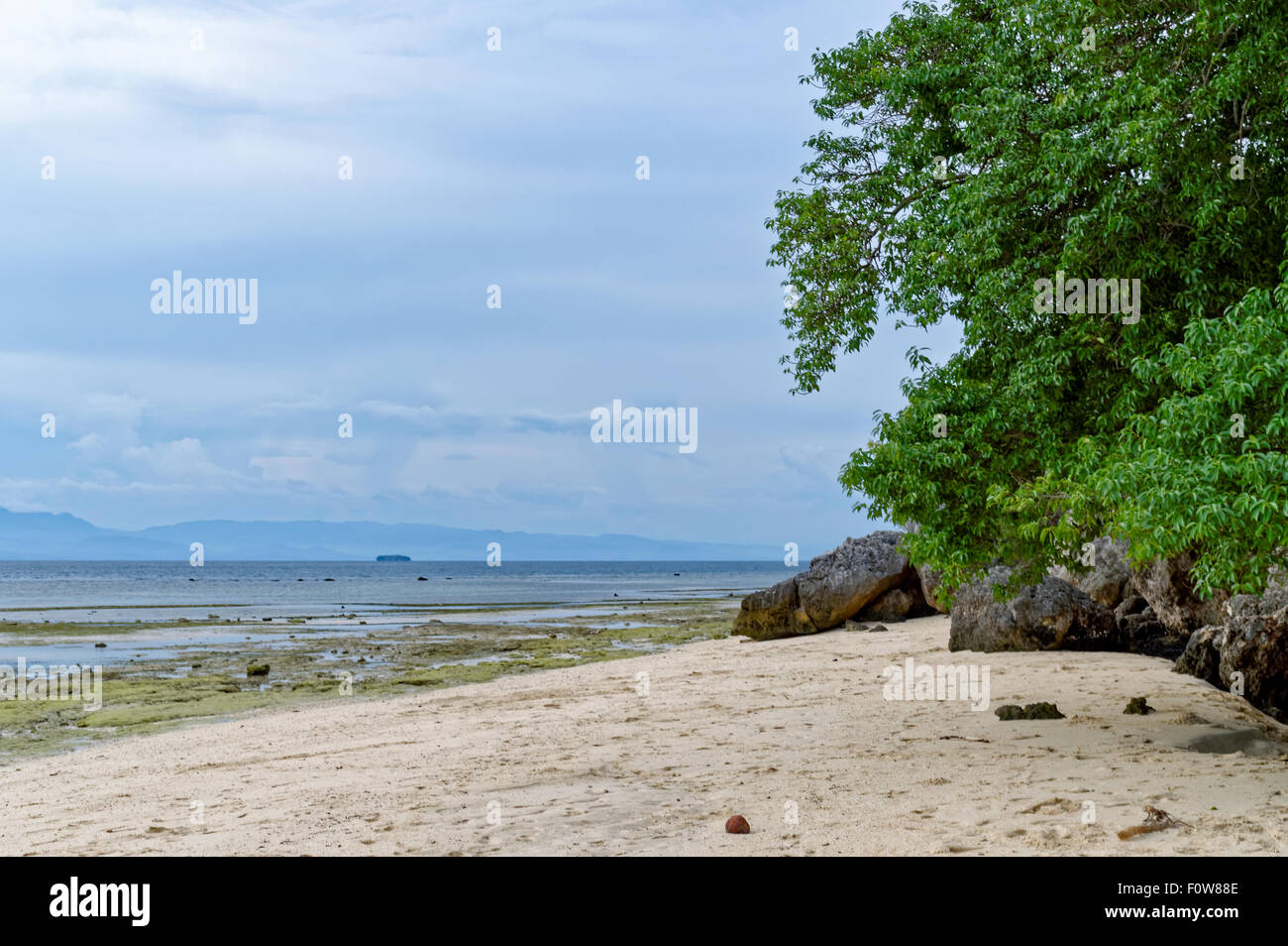Rocks Everywhere During A Low Tide. The shoreline is passable during a ...