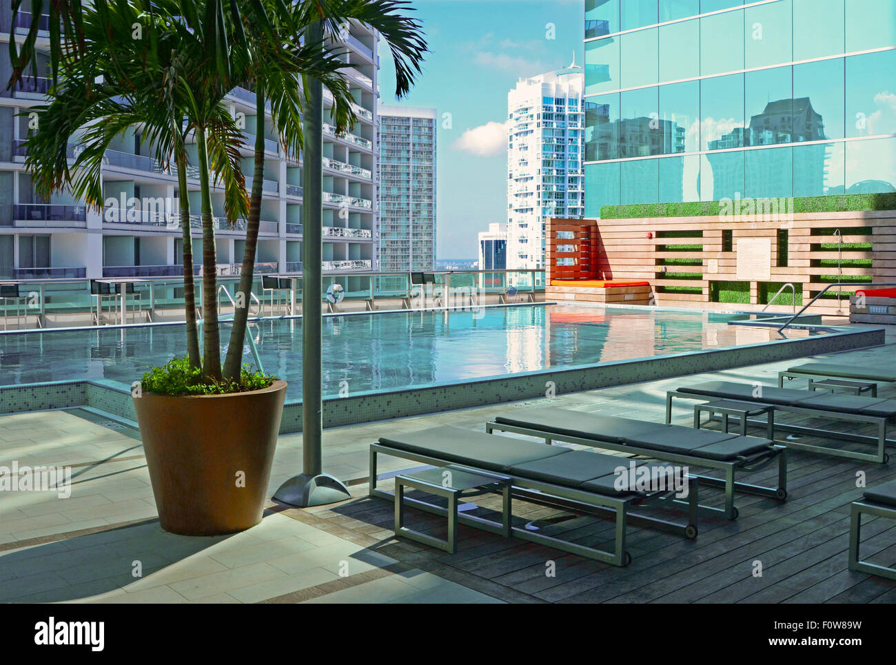 Rooftop Swimming Pool in Miami, Florida Stock Photo - Alamy