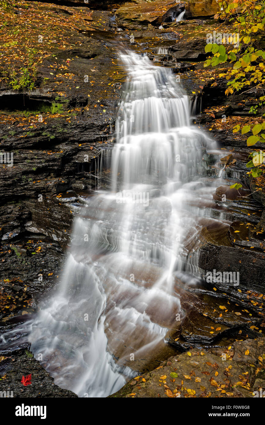 Park Pennsylvania Waterfall