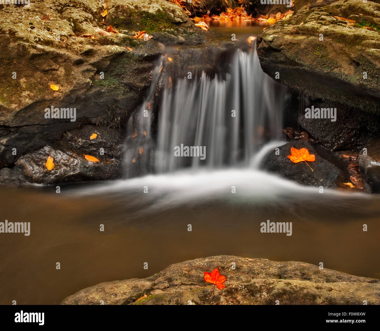 Waterfall surrounded by fall foliage Stock Photo - Alamy