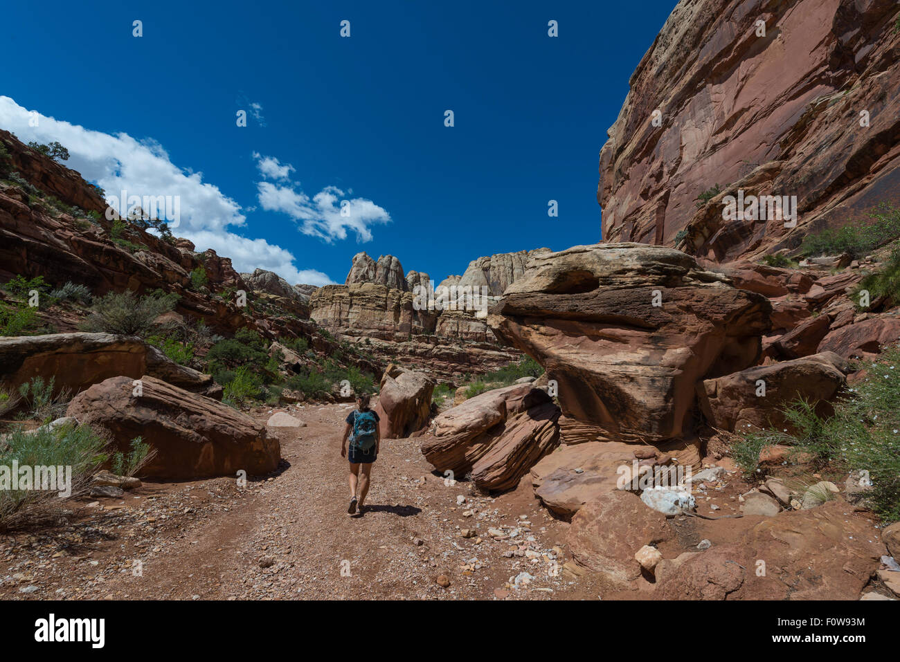 Grand Wash Waterpocket Fold in Capitol Reef National Park Stock Photo ...