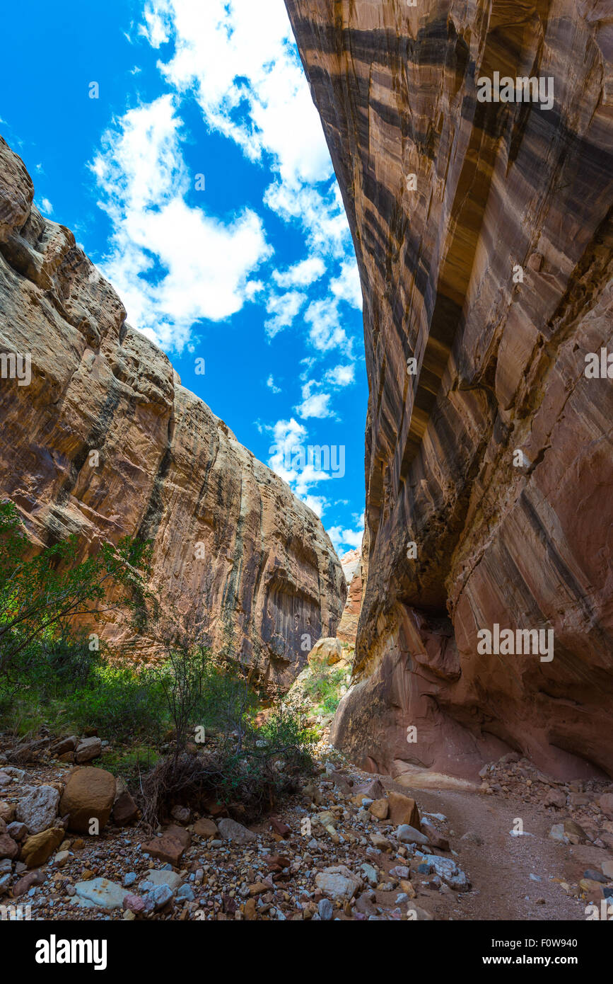 Grand Wash Waterpocket Fold in Capitol Reef National Park Stock Photo ...