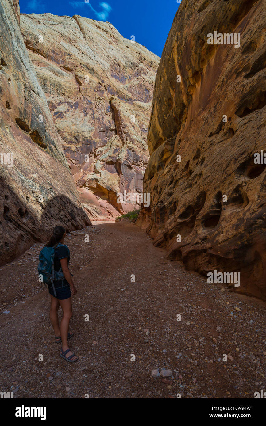 Grand Wash Waterpocket Fold in Capitol Reef National Park Stock Photo ...