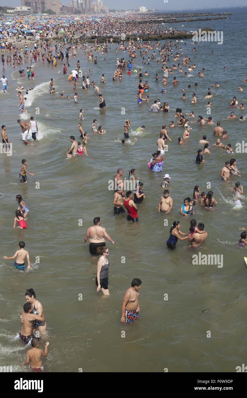 People At The Beach In The Water